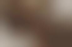 Mangled Anatomical Architecture : Primal Parts by Kyd Kitchaiya