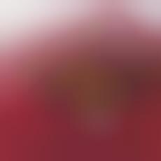 Feline Voting Booths : LOL Cat Voting Booth