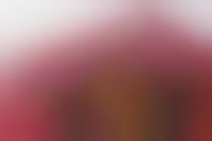 Feline Voting Booths : LOL Cat Voting Booth