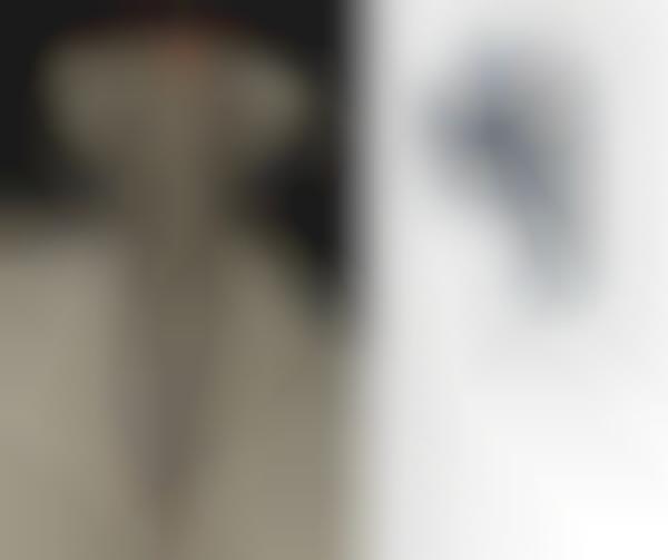 Mathematics-Based Fashion : arena page