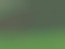 Landscaping Tool Tables : Garden Fork Table