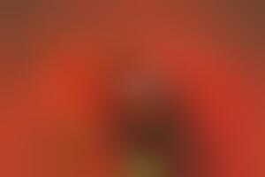 Beaten Avian Depictions : Angry Birds by Scooterek