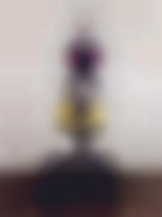 99 Peculiar Model Looks