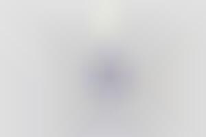 Stringy Wall Lighting : Led Lamp Spring