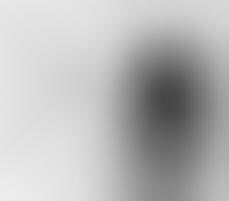 Dark Unisex Collections : One Wolf