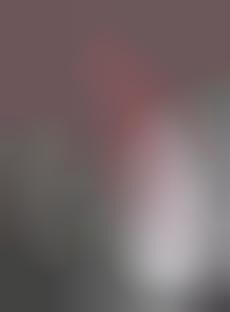 Majestic Paper Sculptures : Paper Sculptures