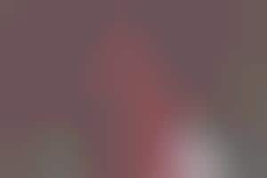 Majestic Paper Sculptures : Paper Sculptures