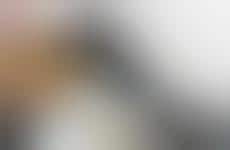 Perfect Painterly Photorealism : Casey Baugh