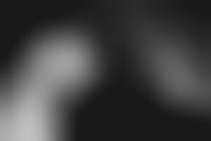 Inked Accessory Editorials : Fatal Husk Magazine