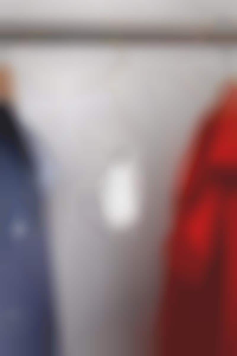 100 Dangling Designs