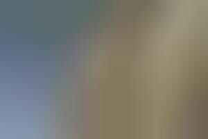 Stacked Stick Structures : Wood Pallet Facade by Stephane Malka