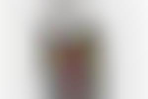 Prankster Channel Changers : Ninja Remote