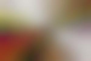 Rainbow Prison Corridors : Linnenbrink