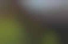 Connected Equestrian Vests : equisense care