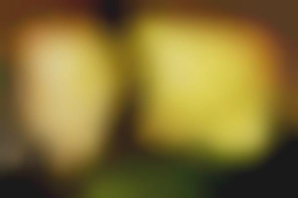 100 Pieces of Maverick Metropolitan Photography