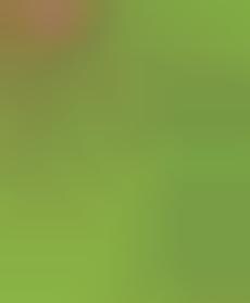 Iconic Toy Reviews: The Learning Power of LEGO Infographic is a Guide ...