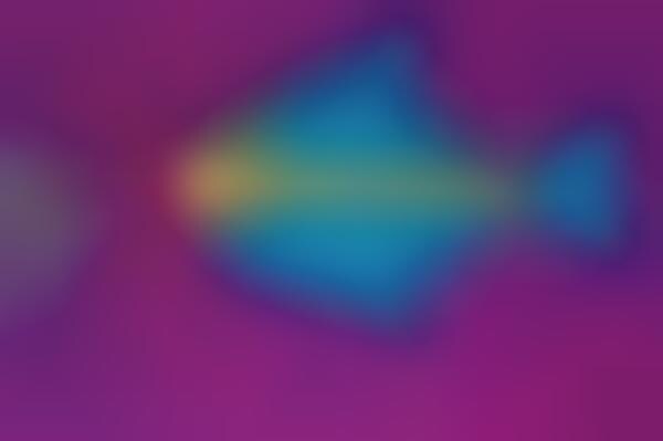 Fishy Stationery Sacks: The Pencil Case by Anna Bajor is Cute and ...