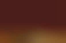 Patchwork Animal Illustrations : gerren lamson