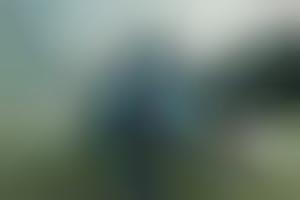 All-In-One Camping Vans: Get the 70's feeling in the Doubleback