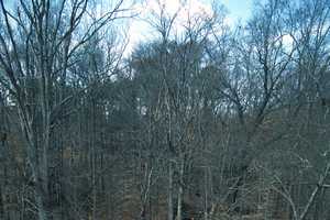 Colossal Bird Structures: The Clemson Clay Nest is the 80-Ton Wonder of ...