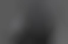 Dapper Androgynous Photoshoots : fallen magazine spring 2012