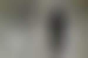 Reductive Women Portraits (UPDATE): Heidi Lender Tips Her Hat to the ...