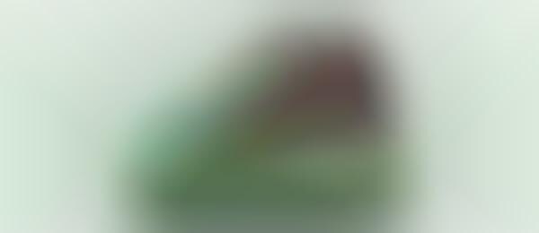 34 Creative Number Crunchers