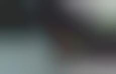 Floating Movie Theaters: The Archipelago Cinema Offers a Watery Film ...