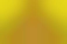 Ferocious Fractal Prints : sebastien feraut