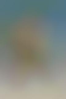 Invisible Traveller Portraits : histrionic wayfarer by tim storrier