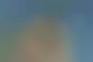 Invisible Traveller Portraits : histrionic wayfarer by tim storrier