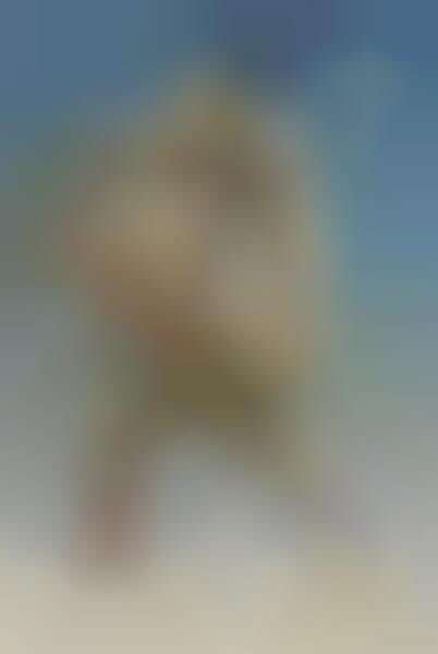 Invisible Traveller Portraits : histrionic wayfarer by tim storrier