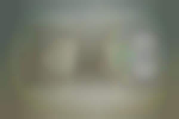 34 Boldly Offensive Objects