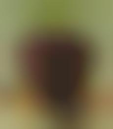 Decadent Decomposing Cakes : compost cupcakes