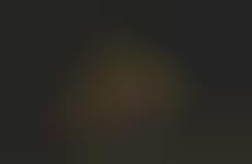 Movie Monster Muses : Donald Caron