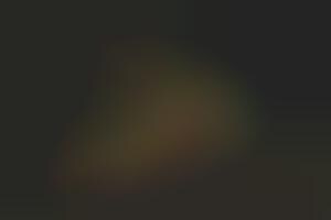 Movie Monster Muses : Donald Caron