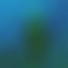 Luxury Personal Submarines : spymaster minisub