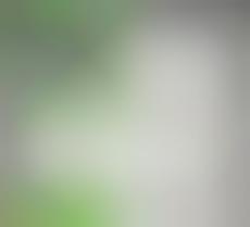 Webpage Creation Graphs : should you build a website