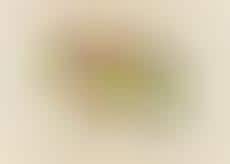 Patchwork Animal Illustrations : gerren lamson