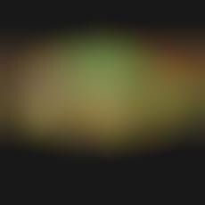 Gamer-Refuelling Nuts : gamer refuelling nuts