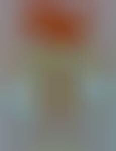 Red Meat Health Guides : beef 101 infographic