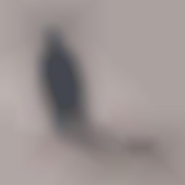 Missing Person Photography : I'm Not There