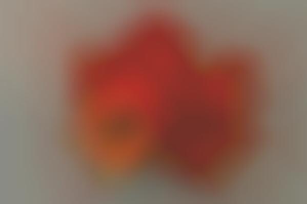 71 Examples of Bizarre Masks