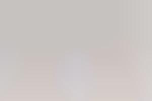 Internet-Inspired Shelves : viktor matic