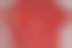 Eradicating Hunger T-Shirts : feed just one