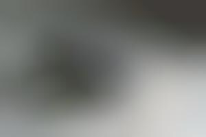 Bulletproof Smartphone Covers : armored case by marudai