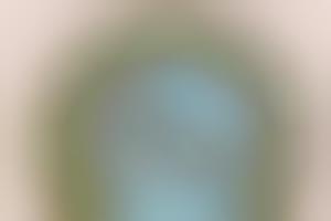 Error-Making Excellence Emblems : awkward merit badges