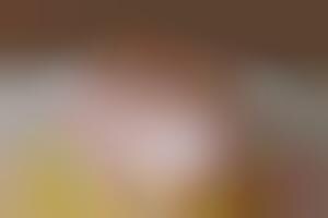 Eco-Friendly Insectual Edibles : insect cookbook