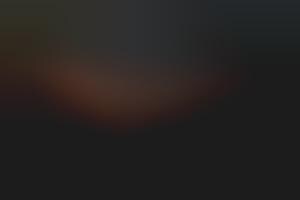 Curvy Promiscuous Loungers : kayiwa joki bench