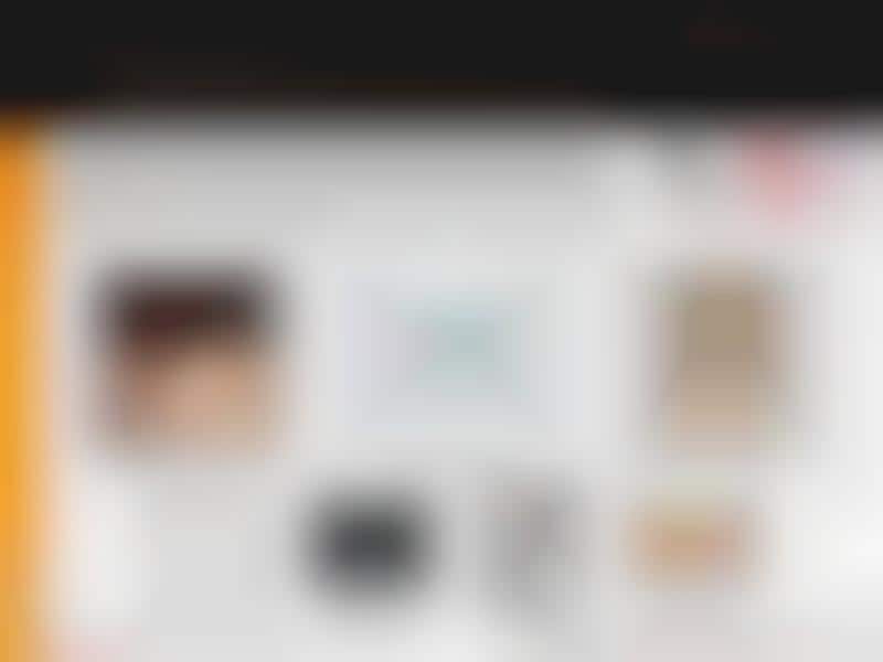 79 Examples of Snake-Inspired Apparel